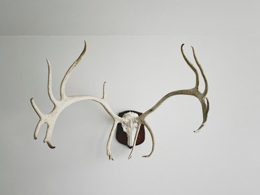 Five Antique Wall Decor Ideas You Should Try Now - WowHomeStyles