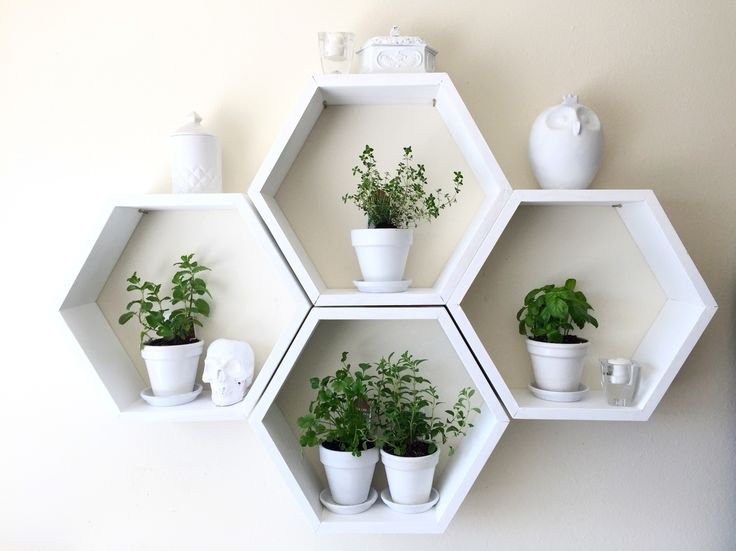 15 Best Wall showcase designs With Pictures - WowHomeStyles